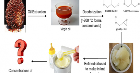 Kiểm nghiệm 2-MCPD, 3-MCPD và Glycidyl fatty acid esters trong thực phẩm